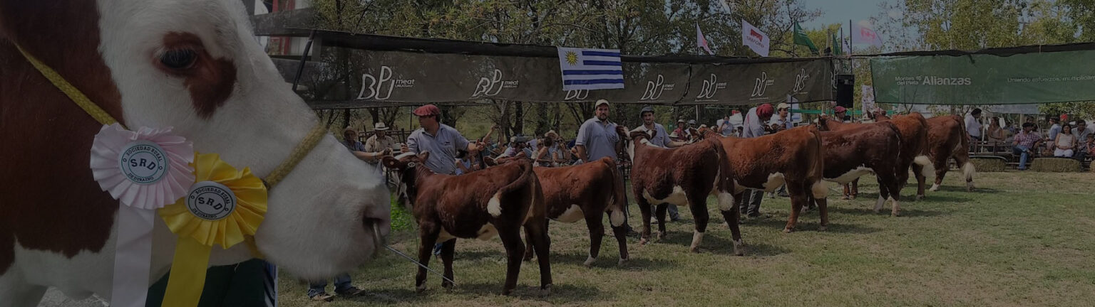 Durazno presentó en la Expo Prado el calendario de eventos 2025-2026 ...